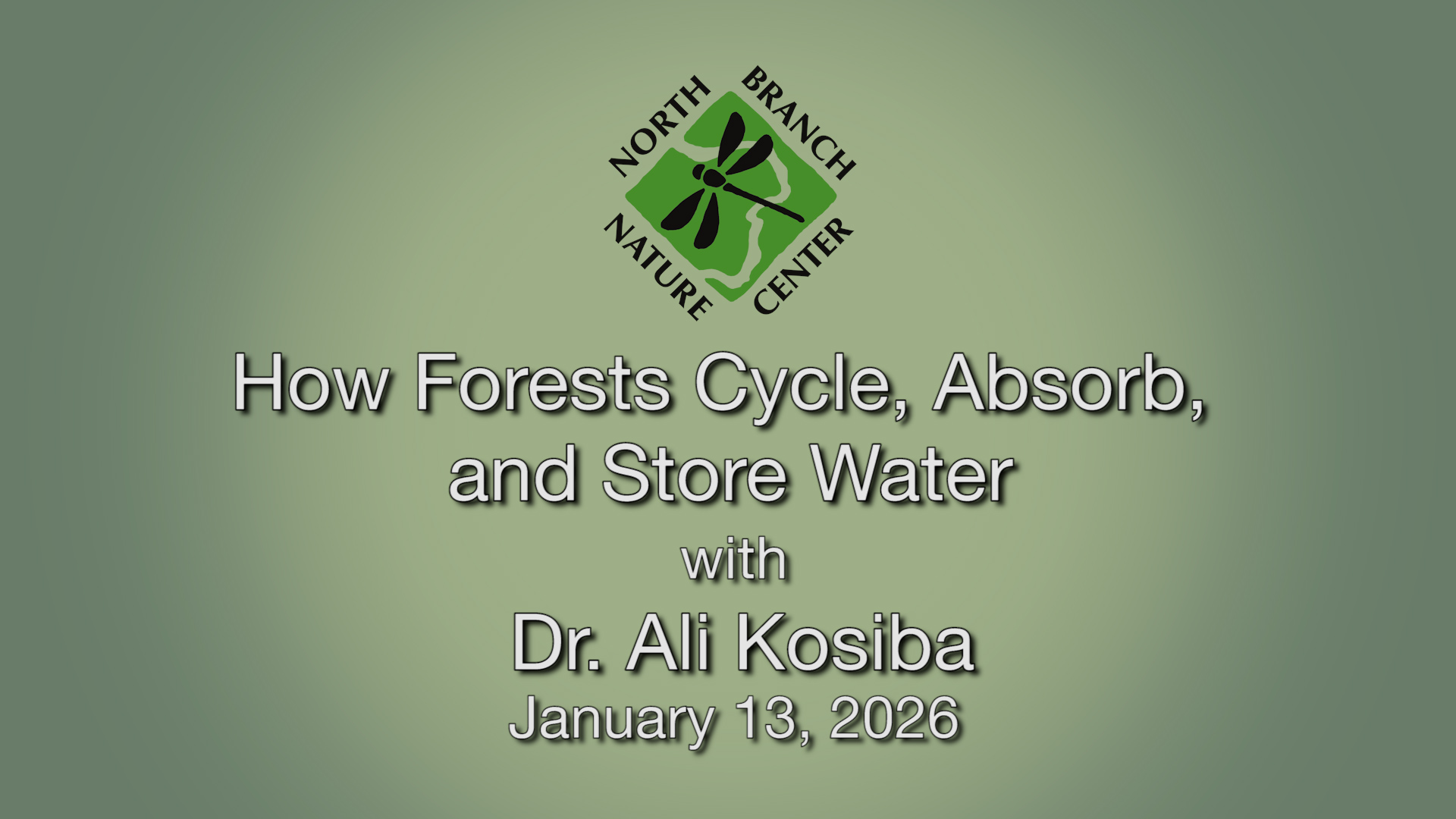 Forest Hydrology: How Forests Cycle, Absorb, and Store Water 1/13/2026 ...