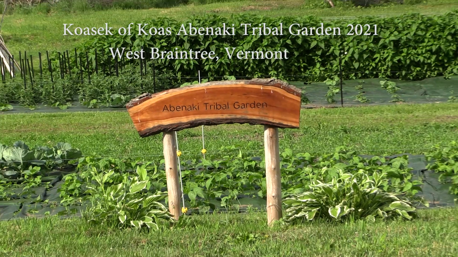 Koasek Traditional Band of the Koas Abenaki Nation Tribal Garden ...