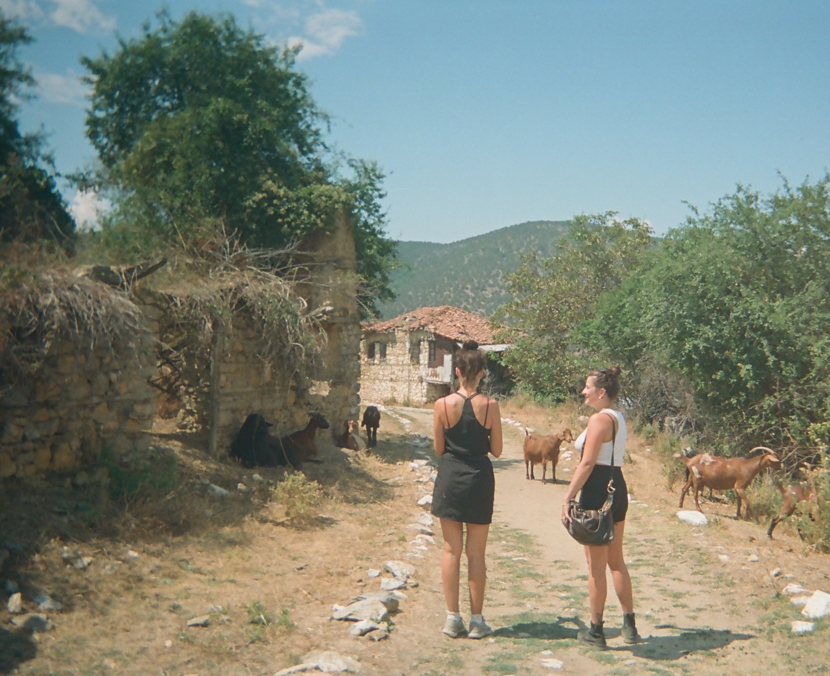 The Old Meeting House - Special Concert! From Greece - Eleni Govetas ...